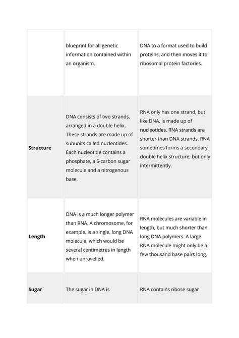 Dna Vs Rna 5 Key Differences And Comparisonpdf