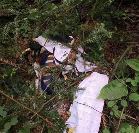 翼装飞行女大学生还是遇难了，这十大危险职业及有前景行业得看看 知乎