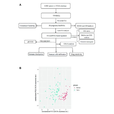 A Study Flow Chart B A Pca Plot For Rna Seq Data Download