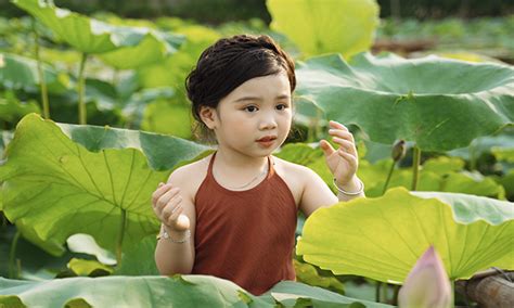 Fpt Small Toả Nắng Bên Hoa Sen