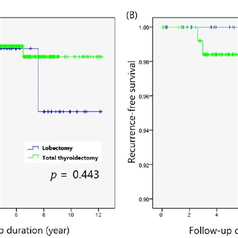 Recurrence Free Survival In Patients With A Ata Low Risk And B