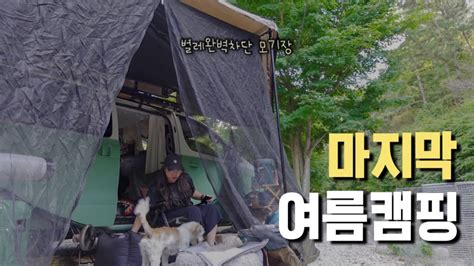 올해 마지막 여름캠핑 반려견 동반 솔로캠핑 루프킹270도어닝and모기장 스타렉스 자작캠핑카 Youtube