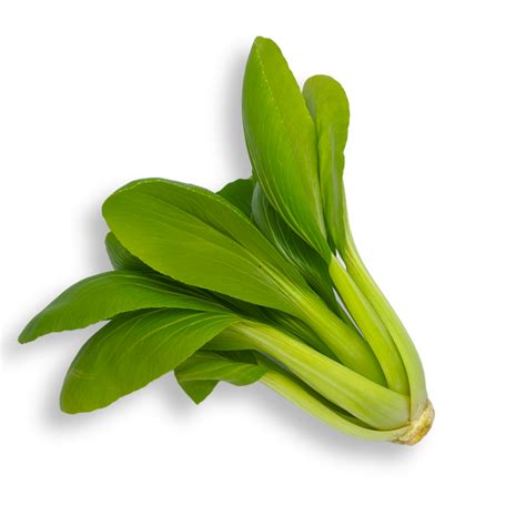 Plugs Pak Choi 12 Pcs Our Greenery