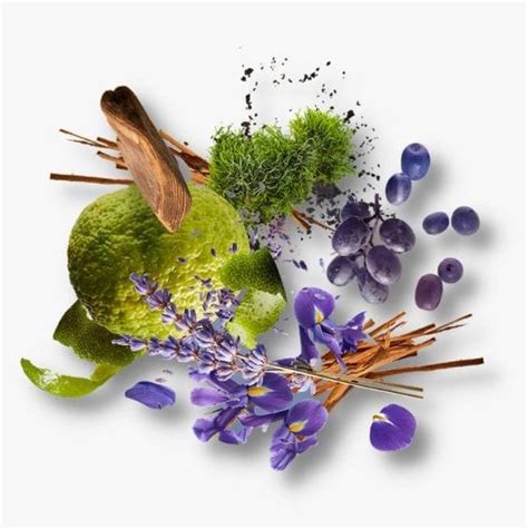 ادکلن مفیستو زرجوف قیمت و خرید آنلاین تکین مد