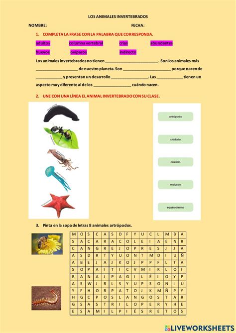 Pdf Online Worksheet Invertebrados