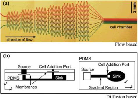 Diffusion Phenomena Of Cells And Biomolecules In Microfluidic Devices Pmc