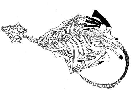 Untitled Document