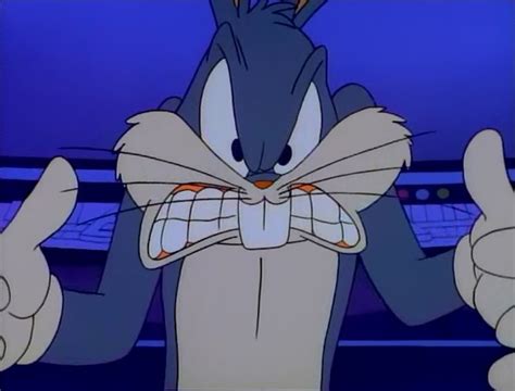 Image Angry Bugs Tiny Toon Adventures Wiki Fandom Powered By