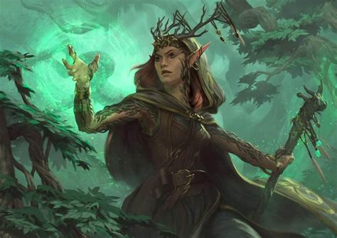 Druid 5e Guide Everything You Need To Know Explore Dnd