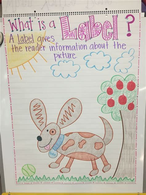 Pin On Anchor Charts