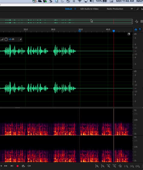 Solved Audition 2017 Waveform Bug Adobe Community 8642439
