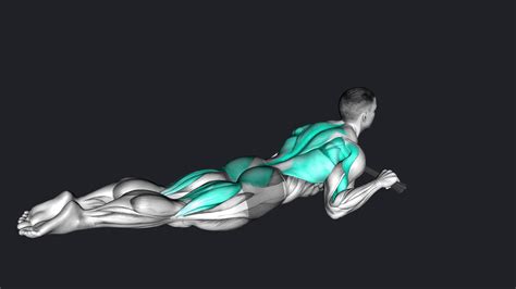 Superman Row Vs Archer Pull Up