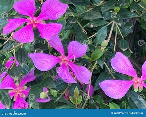 Structure Of Green Metal Beams Bolts And Rivets Steel Girder Bridge