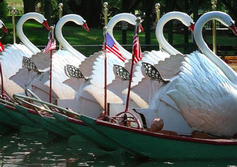 Swan Boats Return To The Boston Public Garden This Weekend Heres