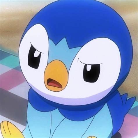 🦄 Sofiasolanaaa Sofia Solana Tiktok