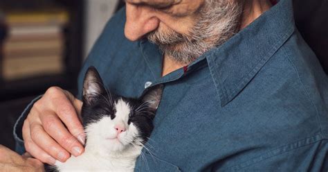 „mój Mąż Bydlak Chciał Oddać Kota Do Schroniska Zmienił Zdanie Gdy Ten Uratował Mu życie