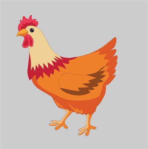 Chicken Vector With High Resolution 25904717 Vector Art At Vecteezy