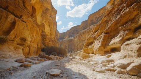 Desert Canyon Rocks Walls Sunny Blue Sky Dry Landscape Nature Scene