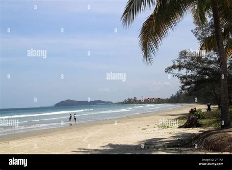 Beach At Nexus Resort And Spa Karambunai Kota Kinabalu Sabah Borneo Malaysia Southeast Asia