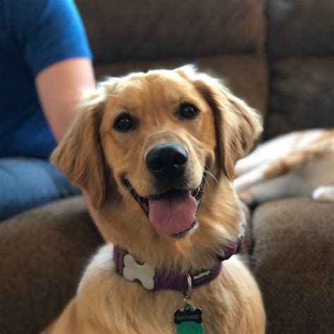 Inking Idaho About Me