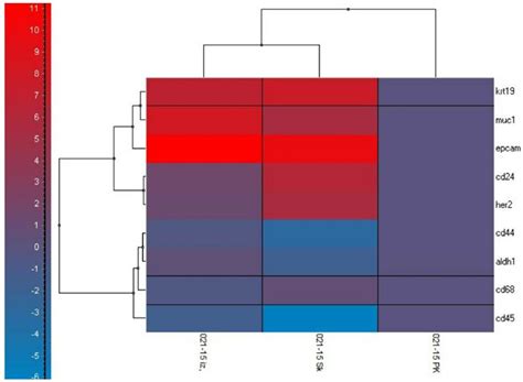 Gene Expression Profiling Data Reported By Hierarchical Clustering