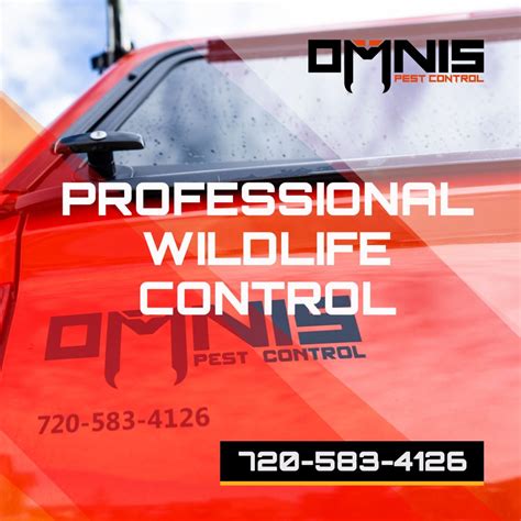Professional Wildlife Control Omnis Pest Control