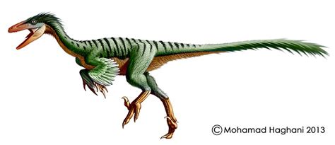 Troodon Pictures And Facts The Dinosaur Database
