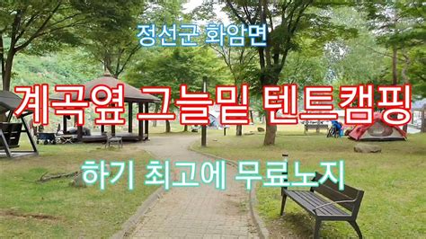 계곡옆 그늘밑 텐트캠핑 최고무료노지소개 Youtube