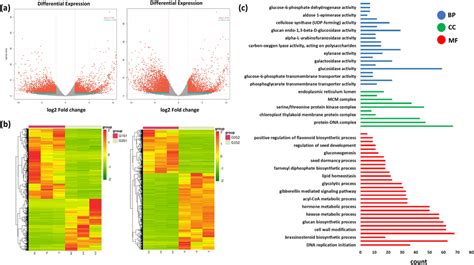 Representative Expression Profile And Go Categorization Of Peanut Seed