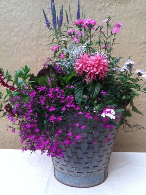 540 Annual Containers Ideas Plants Container Gardening Planting Flowers