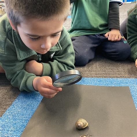 Term 4 Week 4 Newsletter