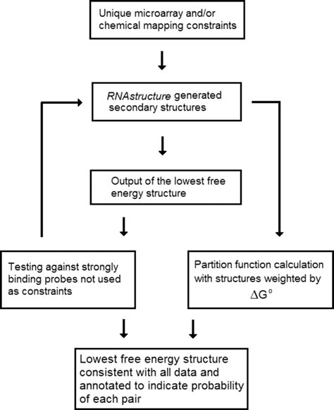 Flowchart For Modeling Rna Secondary Structure With Constraints From