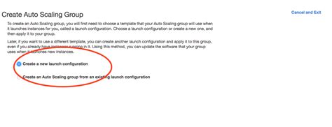 scaling horizontally autoscaling group — launchcode gis devops