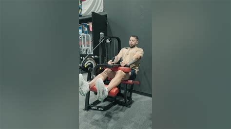 Seated Hamstring Curl Machine - YouTube