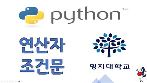 파이썬 연산자 조건문 if 파이썬 python YouTube