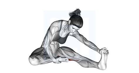Assisted Lying Hamstring Stretch Guide Benefits And Form
