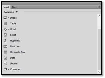 Adding Objects In Dreamweaver CS