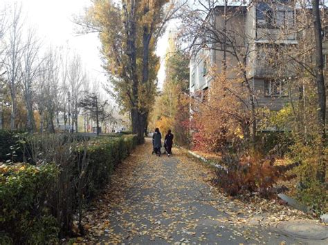 Not Only Me But The Next Generations Deserve To Have This View Will