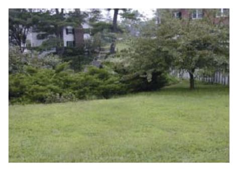 Copy Paste Forgery Within Same Image A Original Image B Tampered Download Scientific