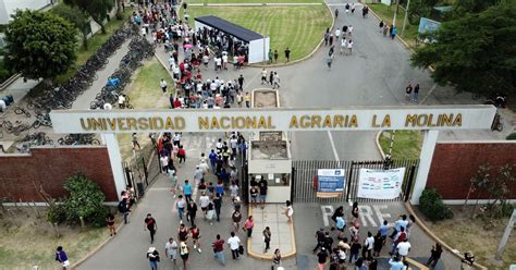 Link ⁠resultados Del Examen De Admisión Unalm 2025 I Infobae