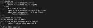 Op Rations Sur Les Fichiers En Python Pierre Giraud
