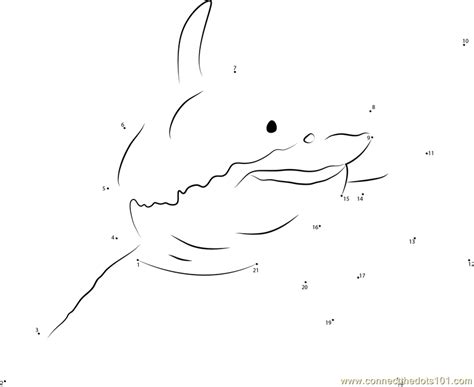 Shark Connect The Dots