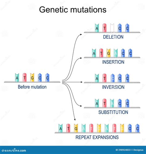 Genetic Mutations Stock Vector Illustration Of Inversion 298924833