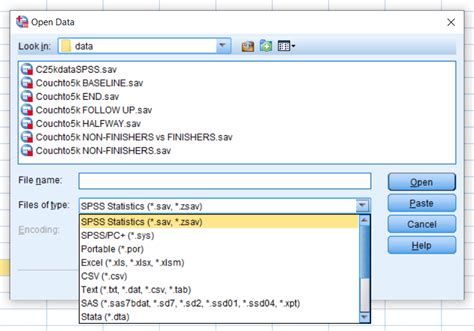 Loading Data In Spss Les Lets Enjoy Statistics