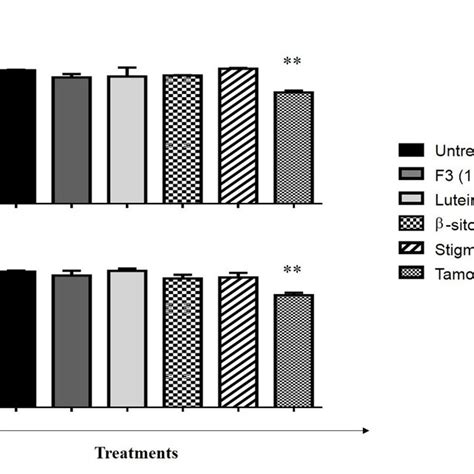 Mda Mb 231 Cells Expressed With Hk2 Protein Mda Mb 231 Cells Were