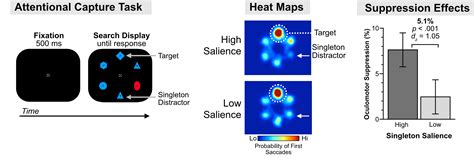 A New Technique To Measure Perceptual Salience Gaspelin Lab Blog