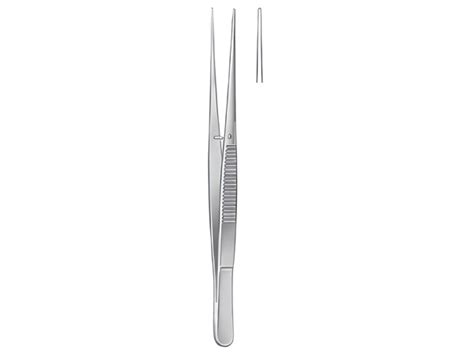 Dissecting Forceps Without Teeth 20cm Tr