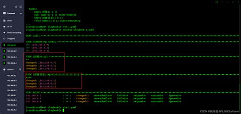 linux：ansible playbook配置文件（剧本）（进阶） ansible playbook l 通配 csdn博客
