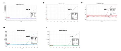 Analytical Specificity Of The Primerprobe Sets Used In The One Step