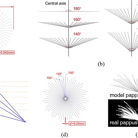 Three Dimensional View Of The Computed Separated Vortex Ring In Case 6